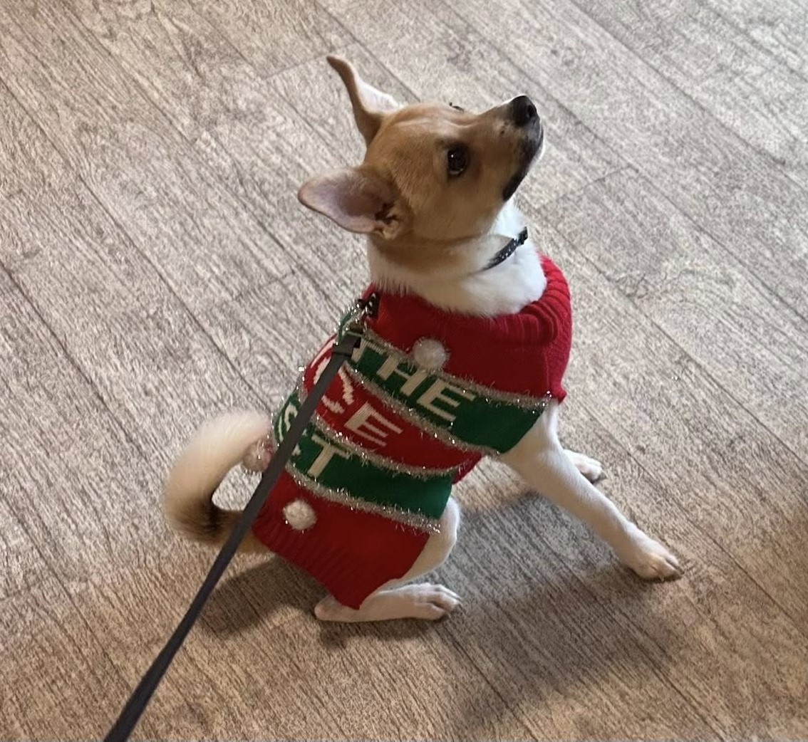 News & Events - George Brooker House